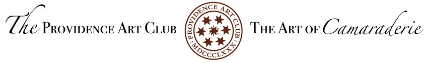 Visual Art Club Logo