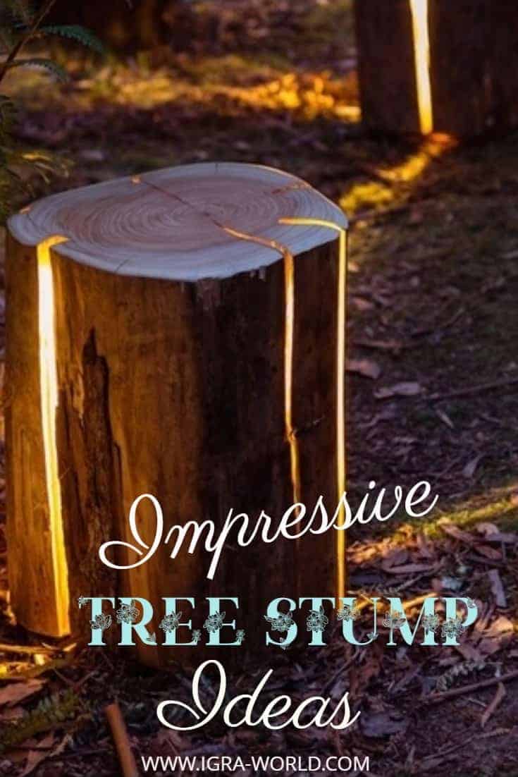 Tree Trunk Furniture Ideas