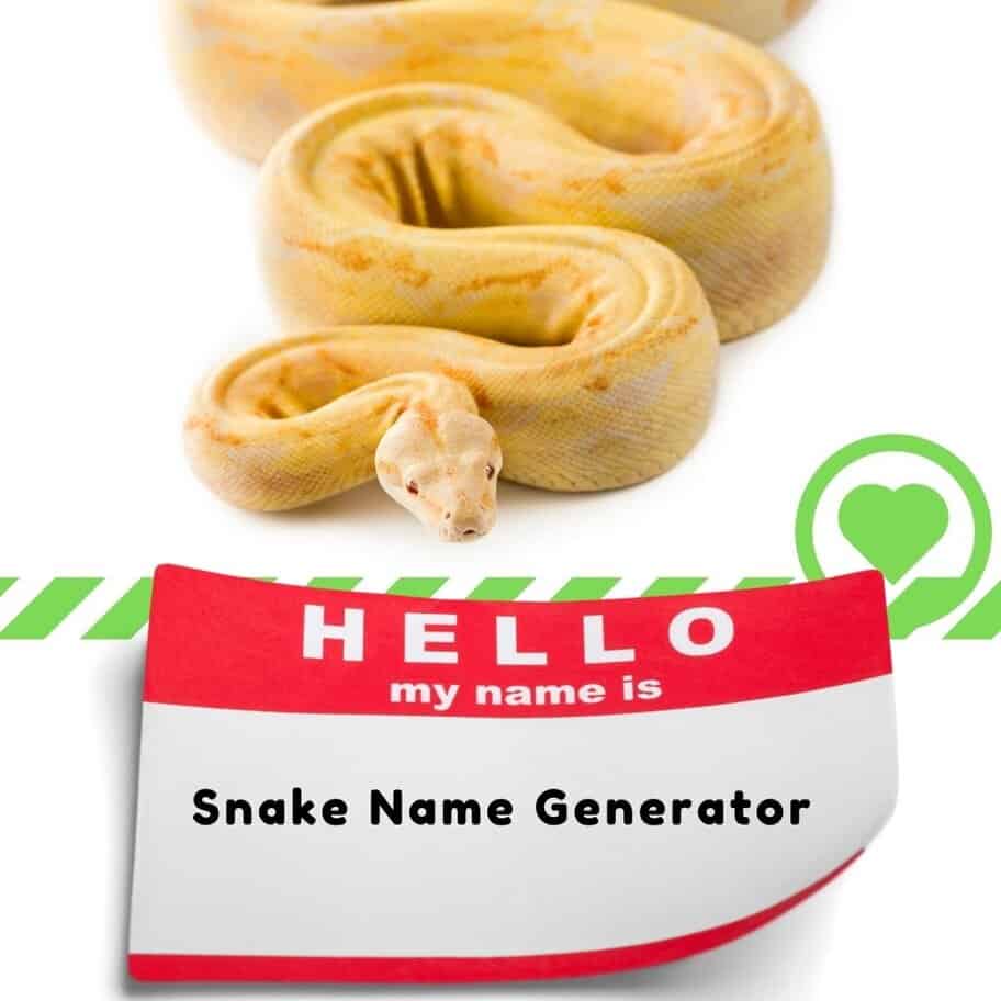 Snake Name Generator