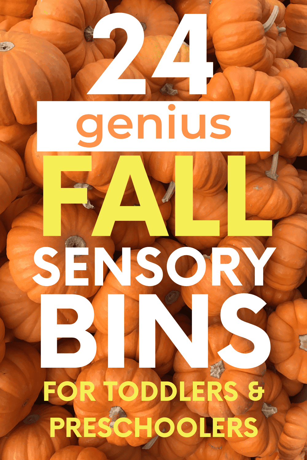Fall Sensory Bin