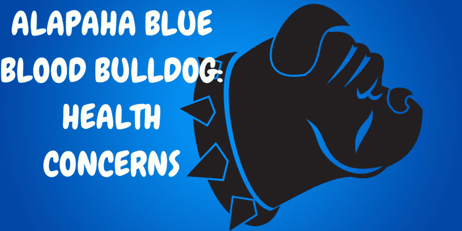 Can A Alapaha Blue Blood Bulldog Live In Faroe Islands