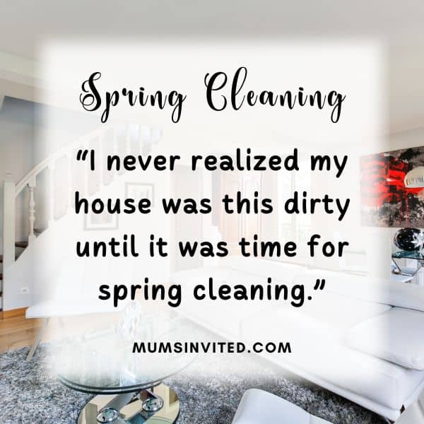 Funny Spring Cleaning