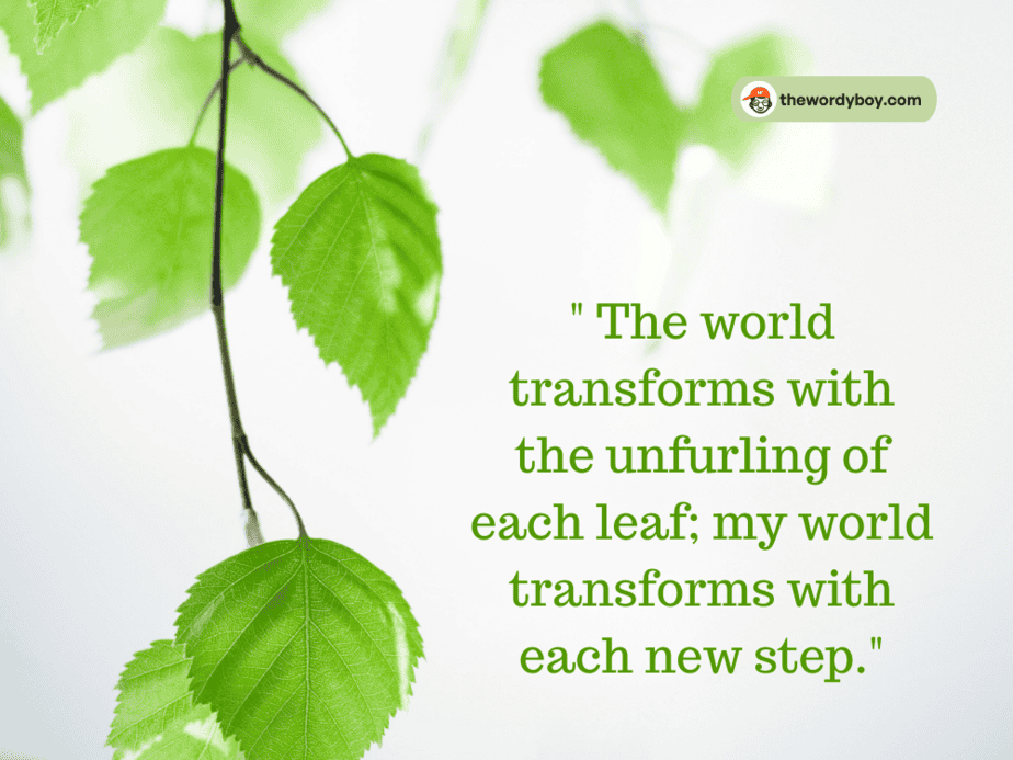 Leaves With Quotes Leaf Quotes Etsy UK