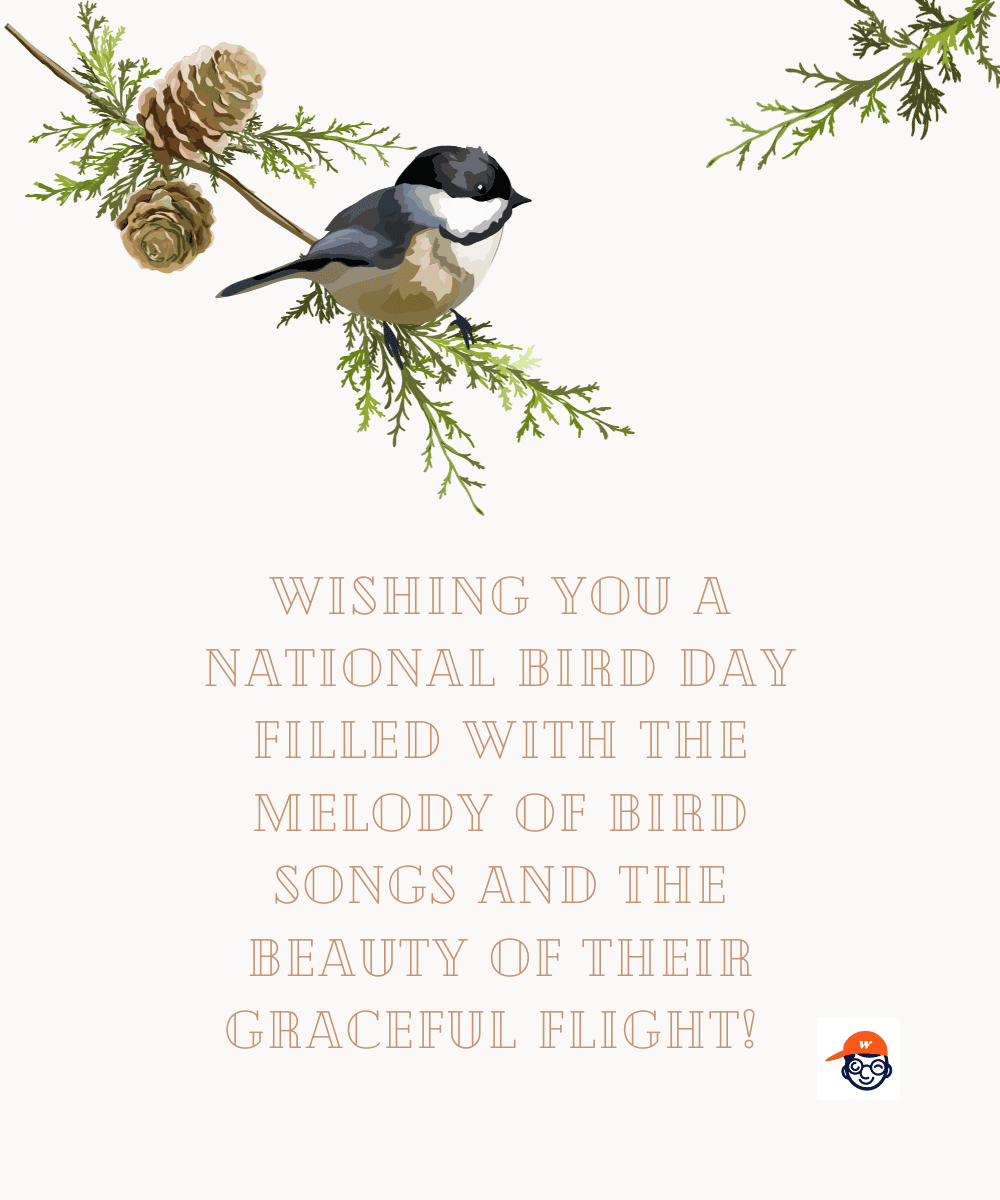 National Bird Day Quotes