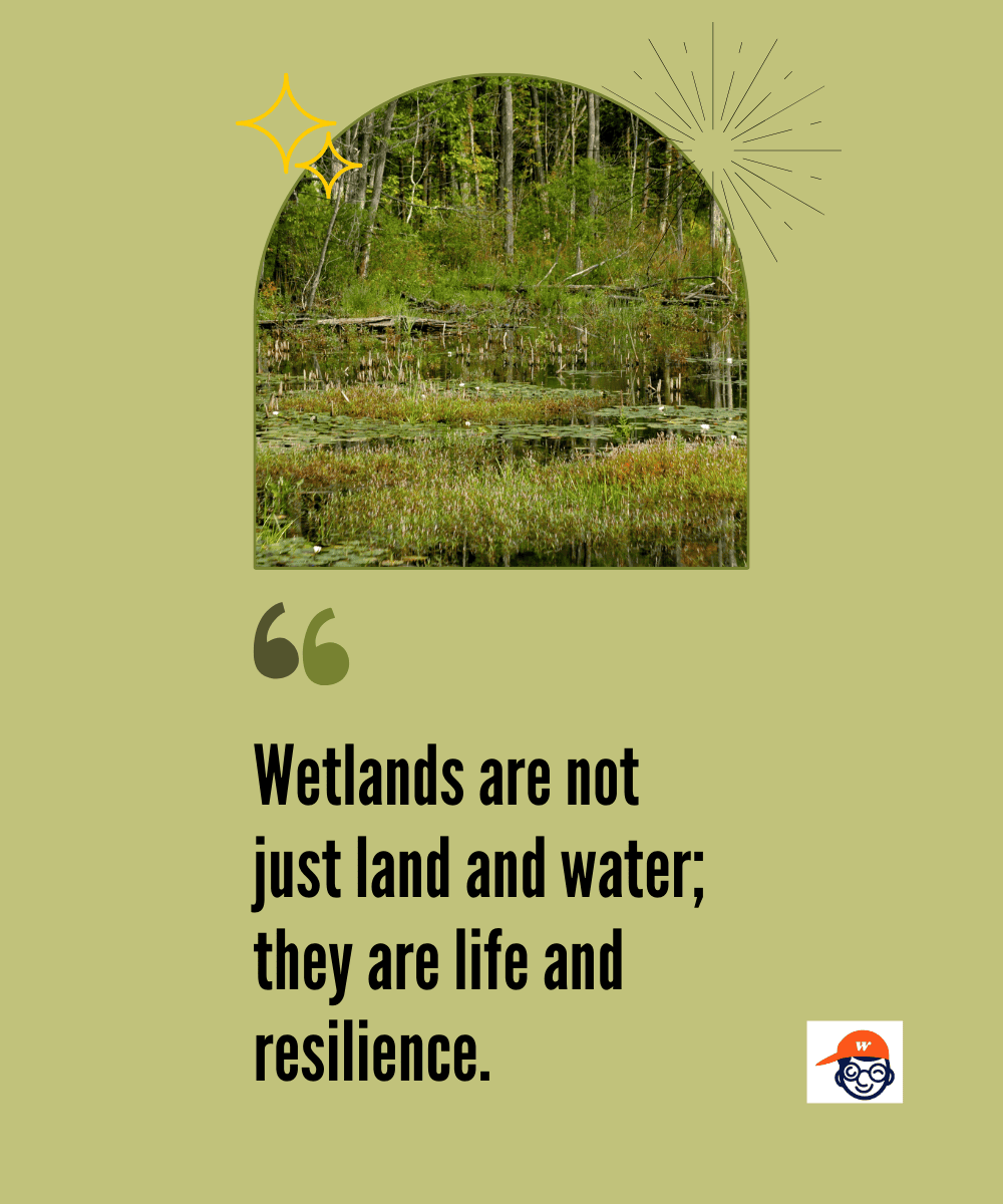 Wetland Quotes