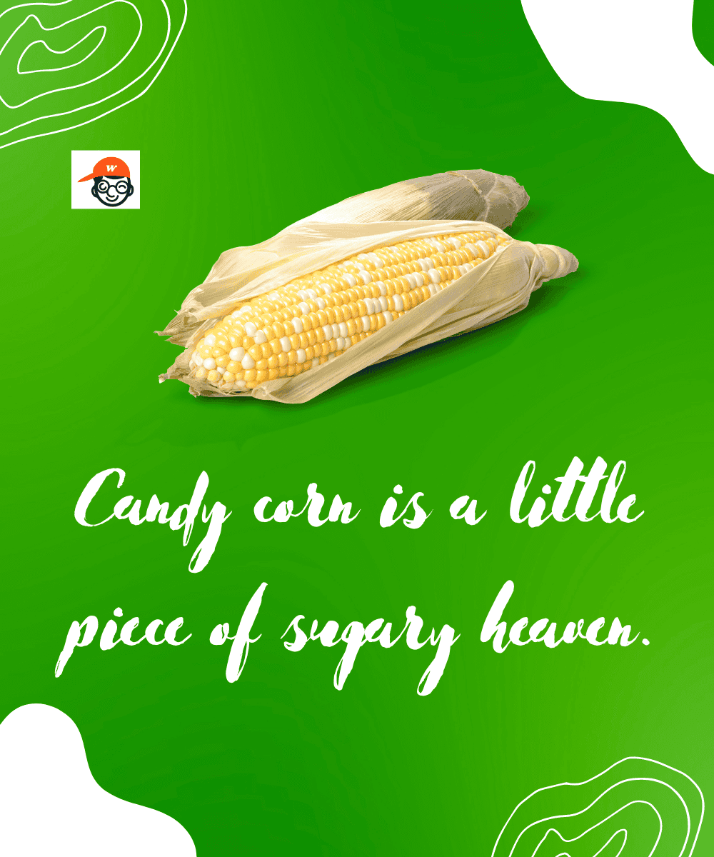 sweet corn slogans