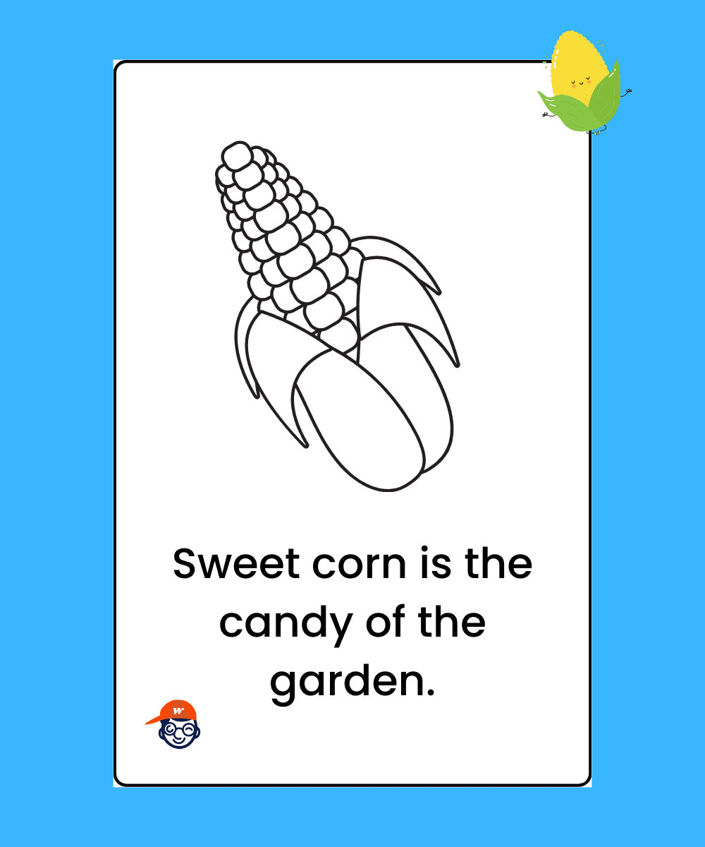 sweet corn slogans