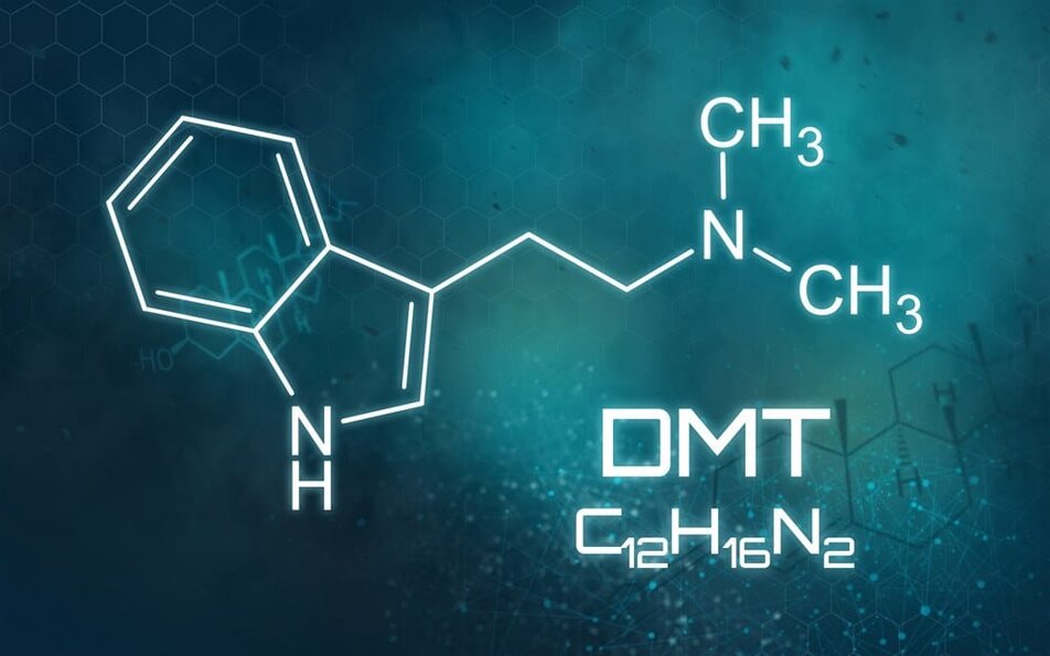 Can Sniffer Dogs Smell DMT? | OdorAnswers.com