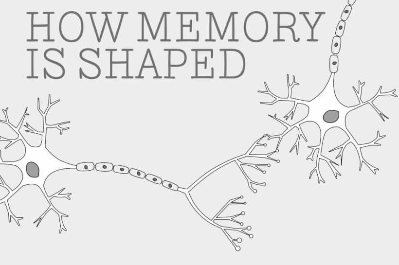 Blank Neuron Diagram