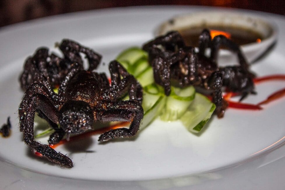 Fried Tarantula On A Stick