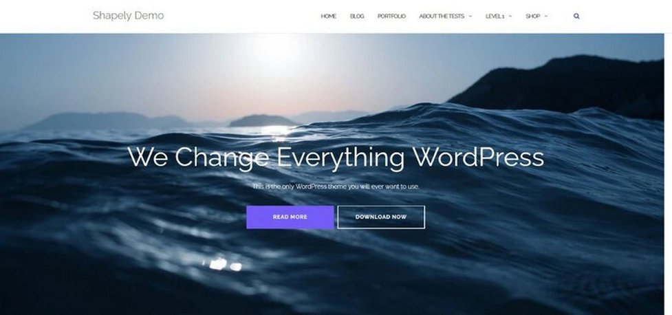 Single Page Wordpress Themes