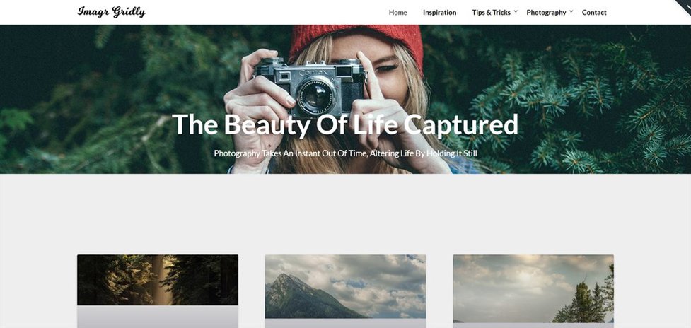 umbrella photography wordpress theme