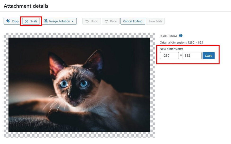 Featured Image How To Write A New Job Post On LinkedIn [Quick Guide