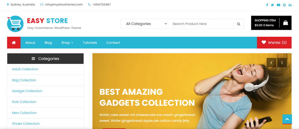wordpress themes for ecommerce