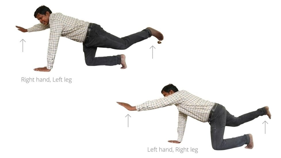 Scoliosis Exercises To Straighten Spine