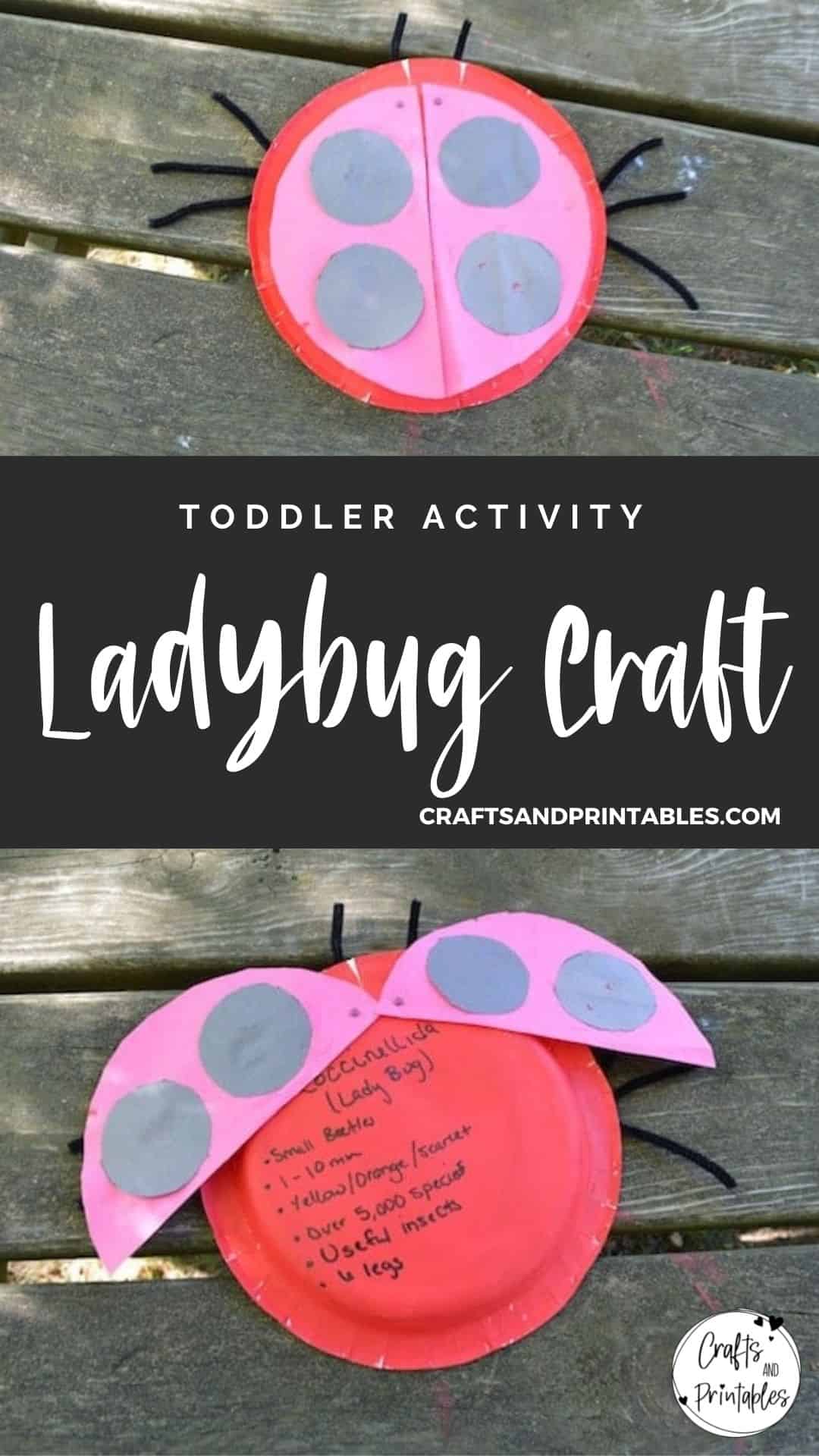 The Grouchy Ladybug Crafts Glued To My Crafts Added A New Photo.