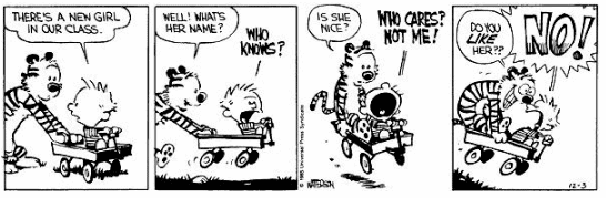 Calvin And Hobbes Math Homework