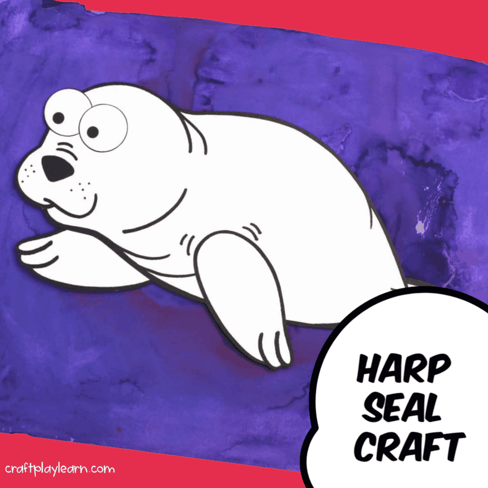 Arctic Seal Craft