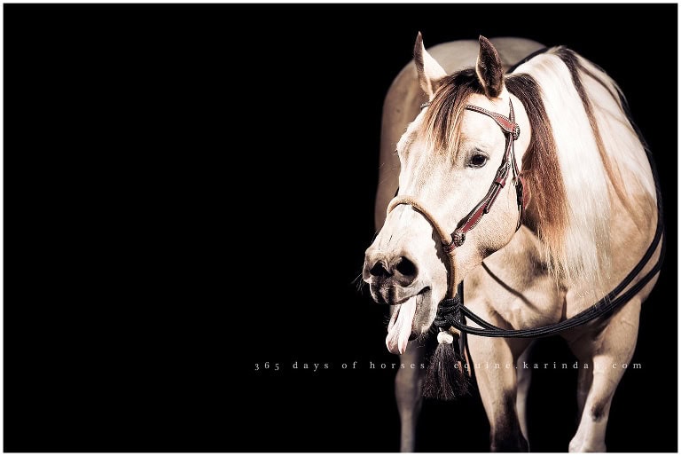 bloopers black background