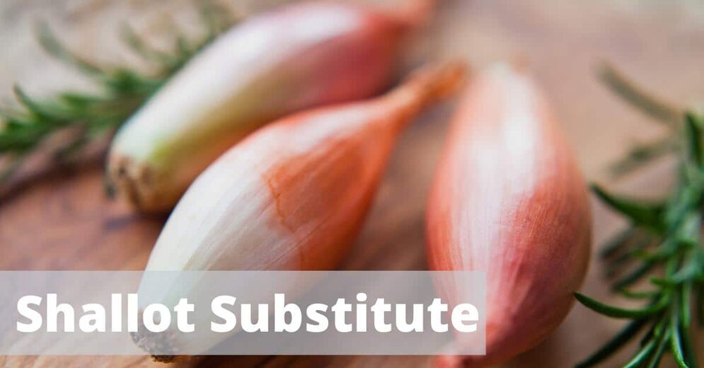 shallot substitute