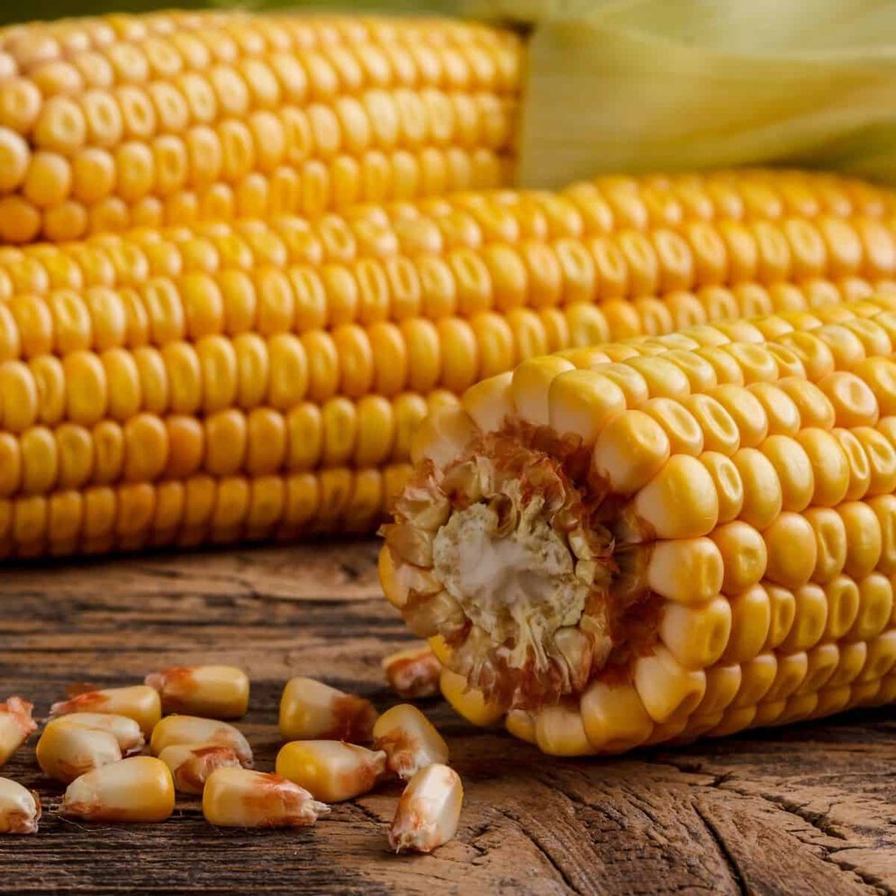 is corn a stem vegetable