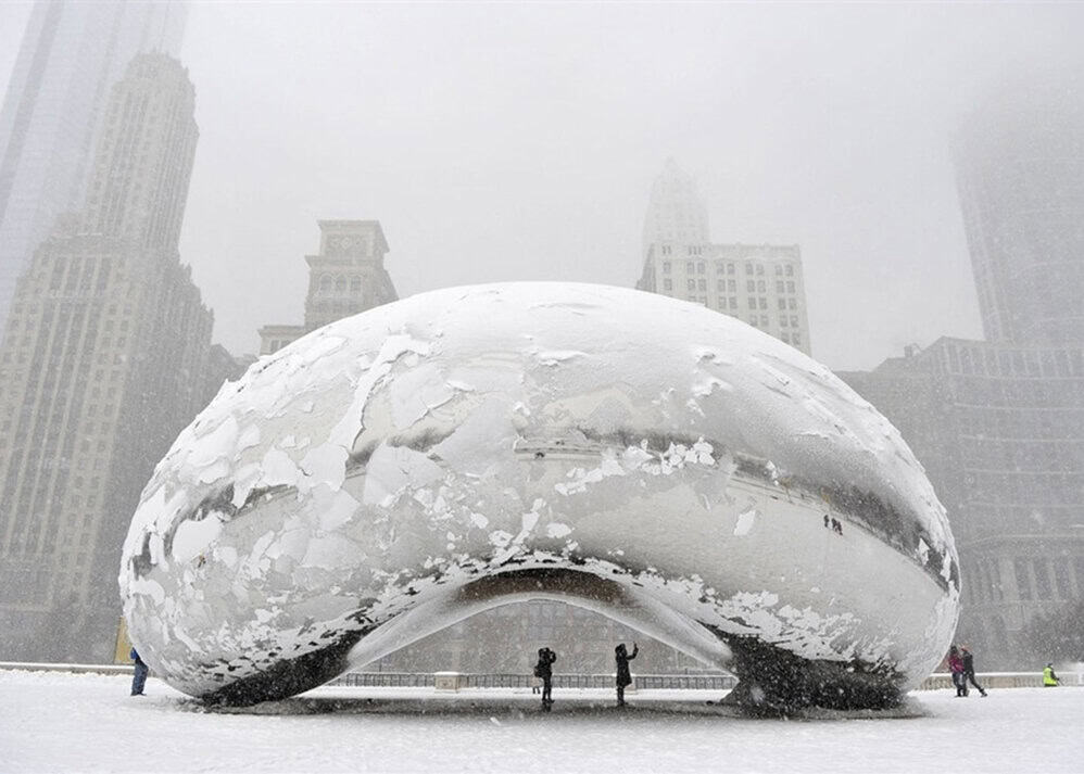 chicago bean size