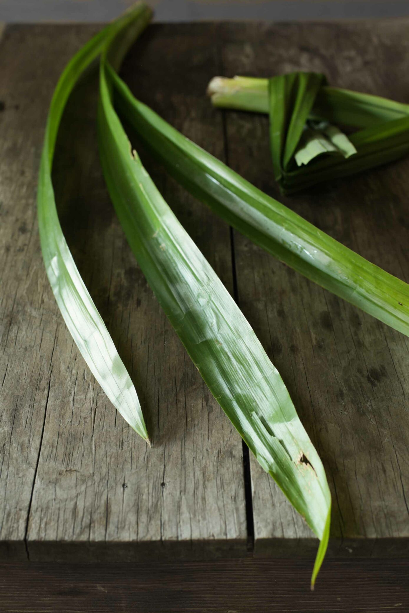 What are pandan leaves? & Pandan extract recipe - Hungry Huy