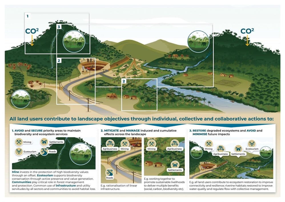 collective rationalisation