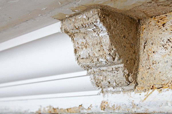 Decorative Plaster & Running Mould Masterclass | Cornish Lime