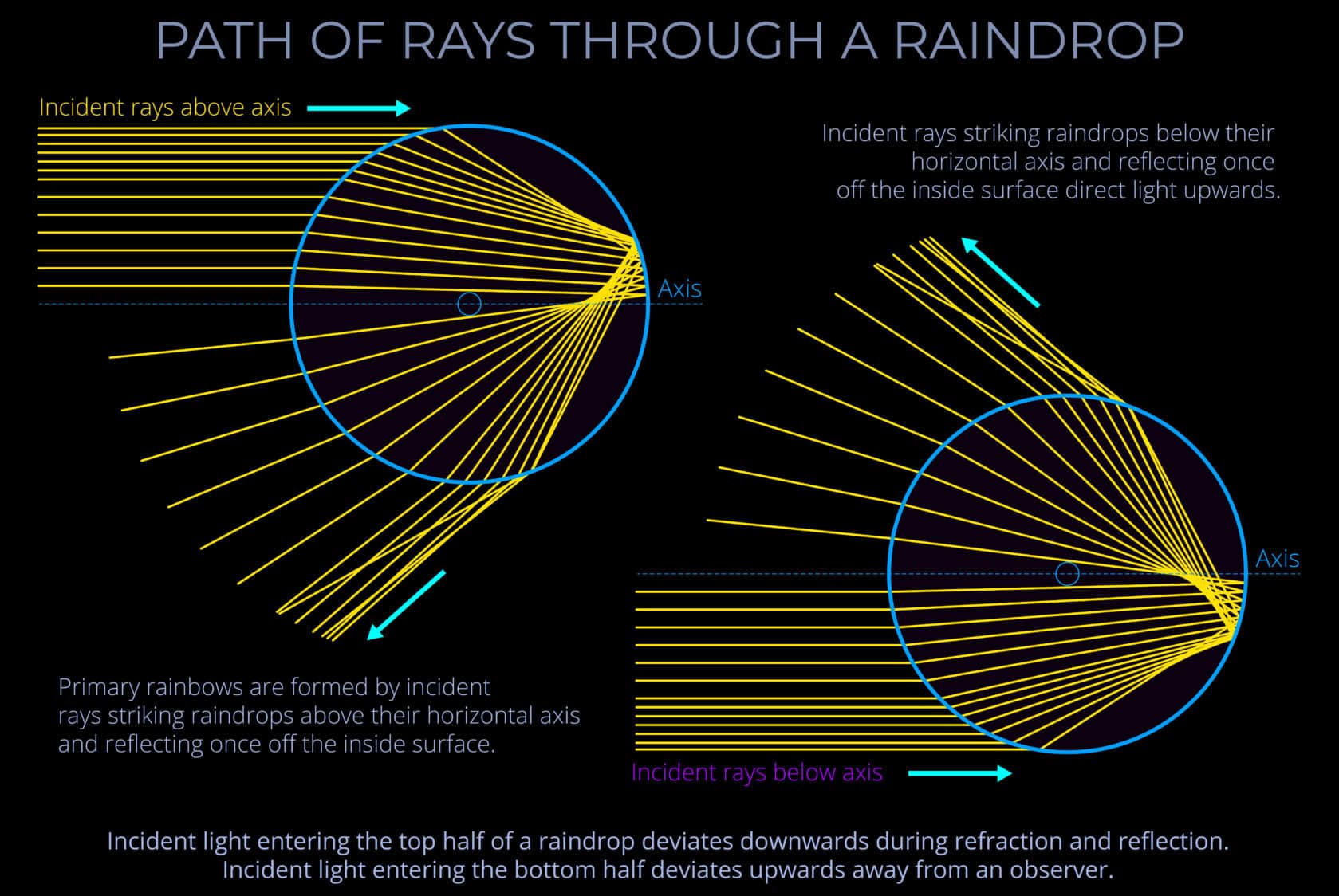 Path of Rays Through a Raindrop