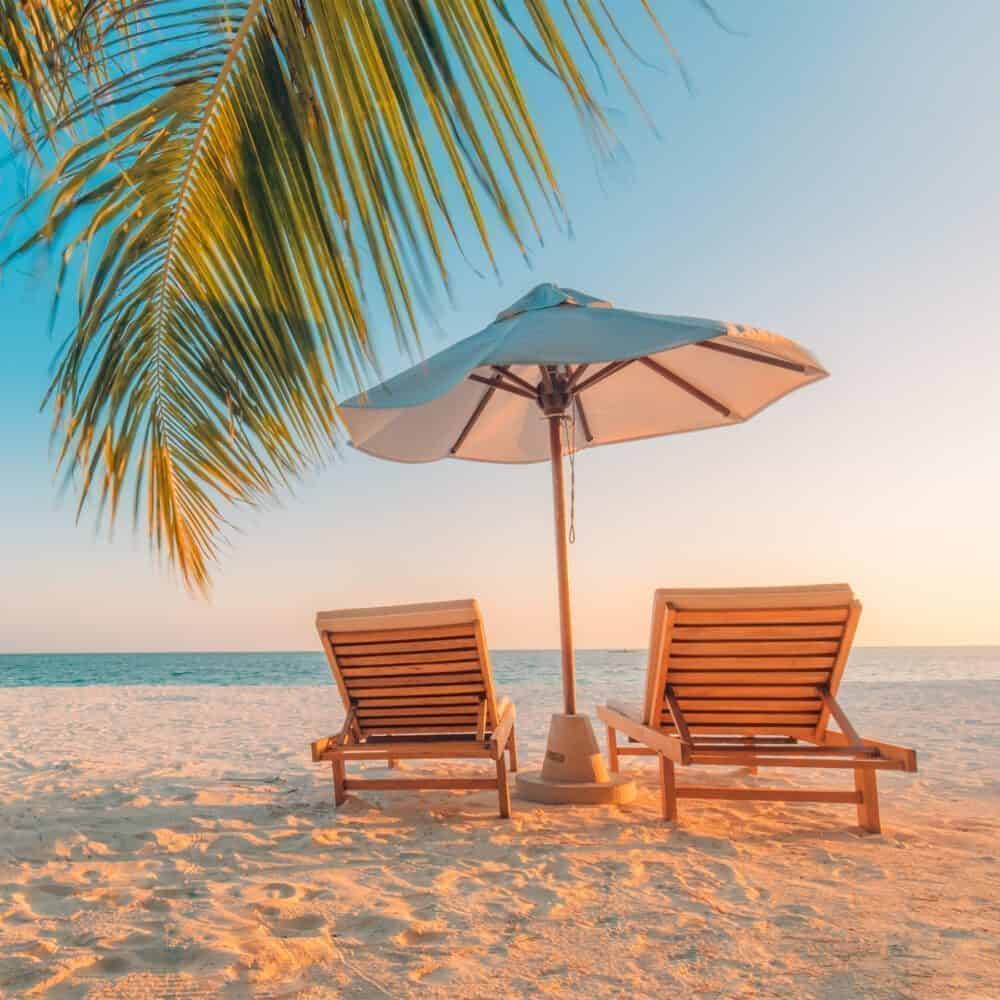 Photo Gallery: Inside Amazon's Spheres - Seattle magazine