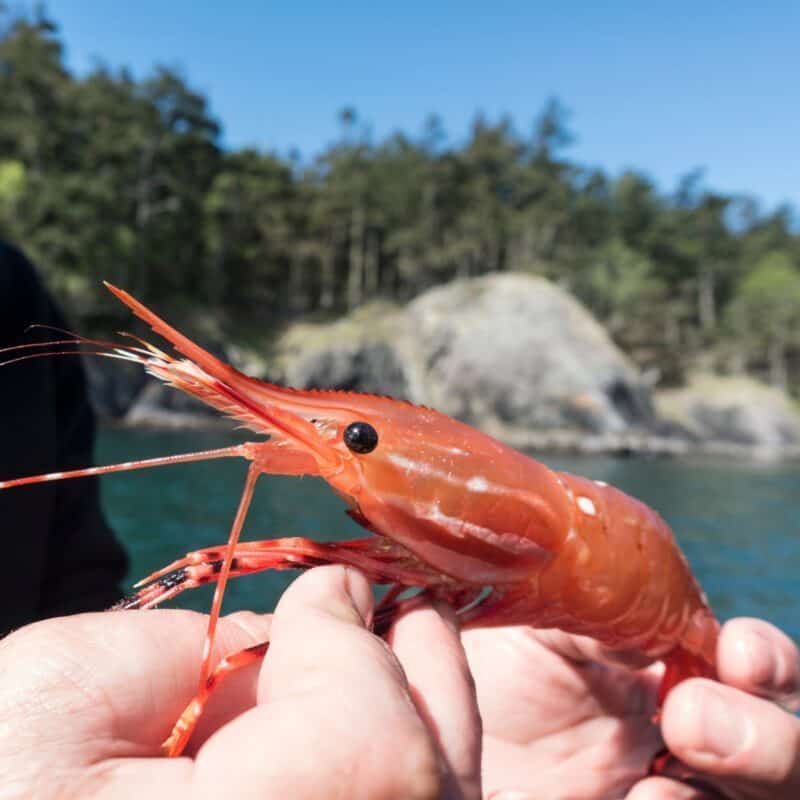 Seattle magazine. Start here. Go everywhere.