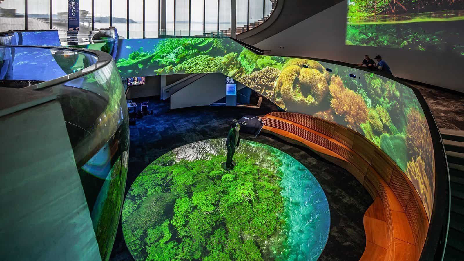 Dive into the Design Behind Seattle Aquarium’s New Ocean Pavilion ...