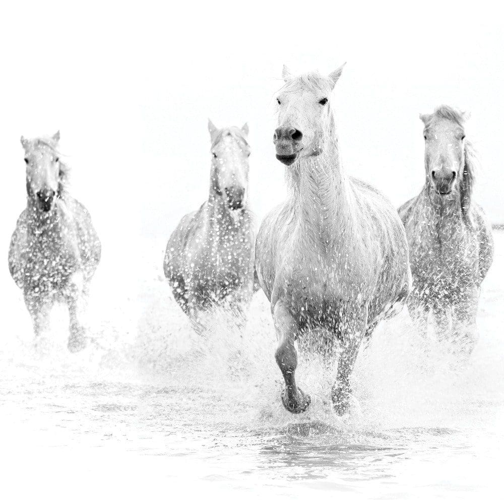 50 Things Seattle Gave the World - Seattle magazine