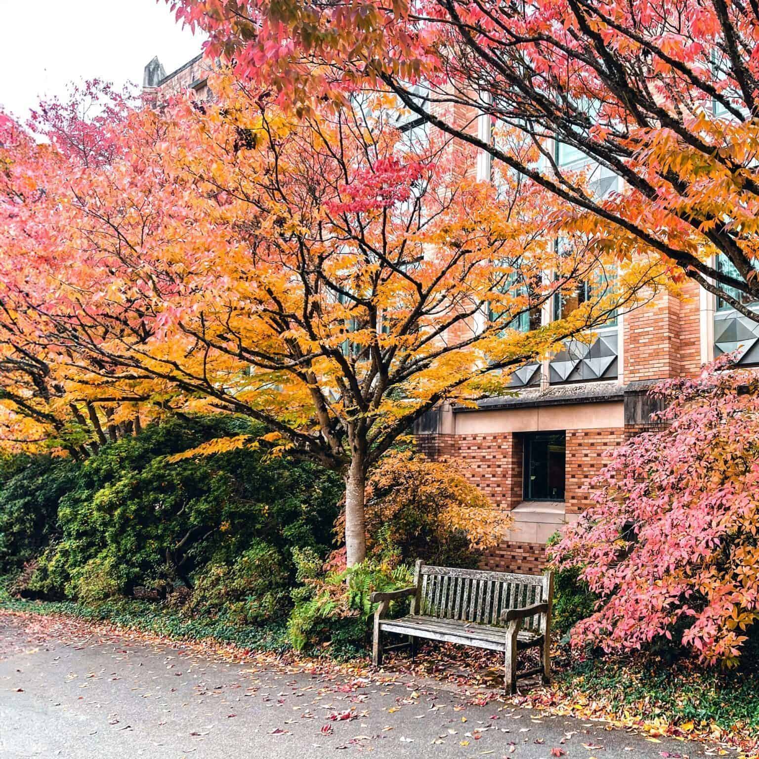 Seattle magazine. Start here. Go everywhere.