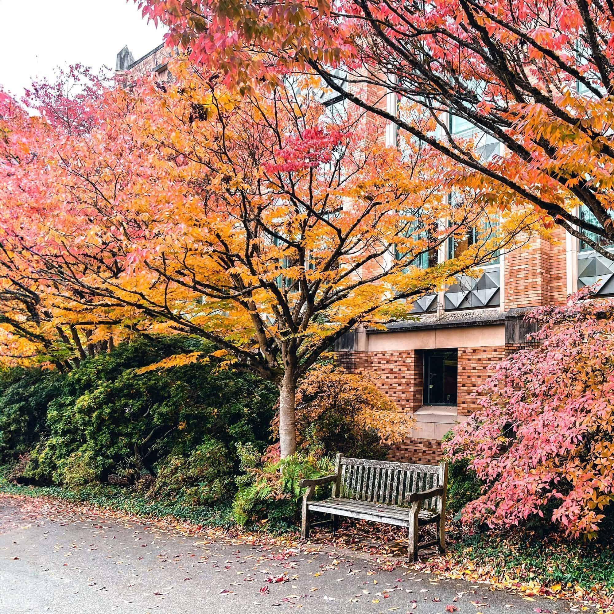 Seattle magazine. Start here. Go everywhere.