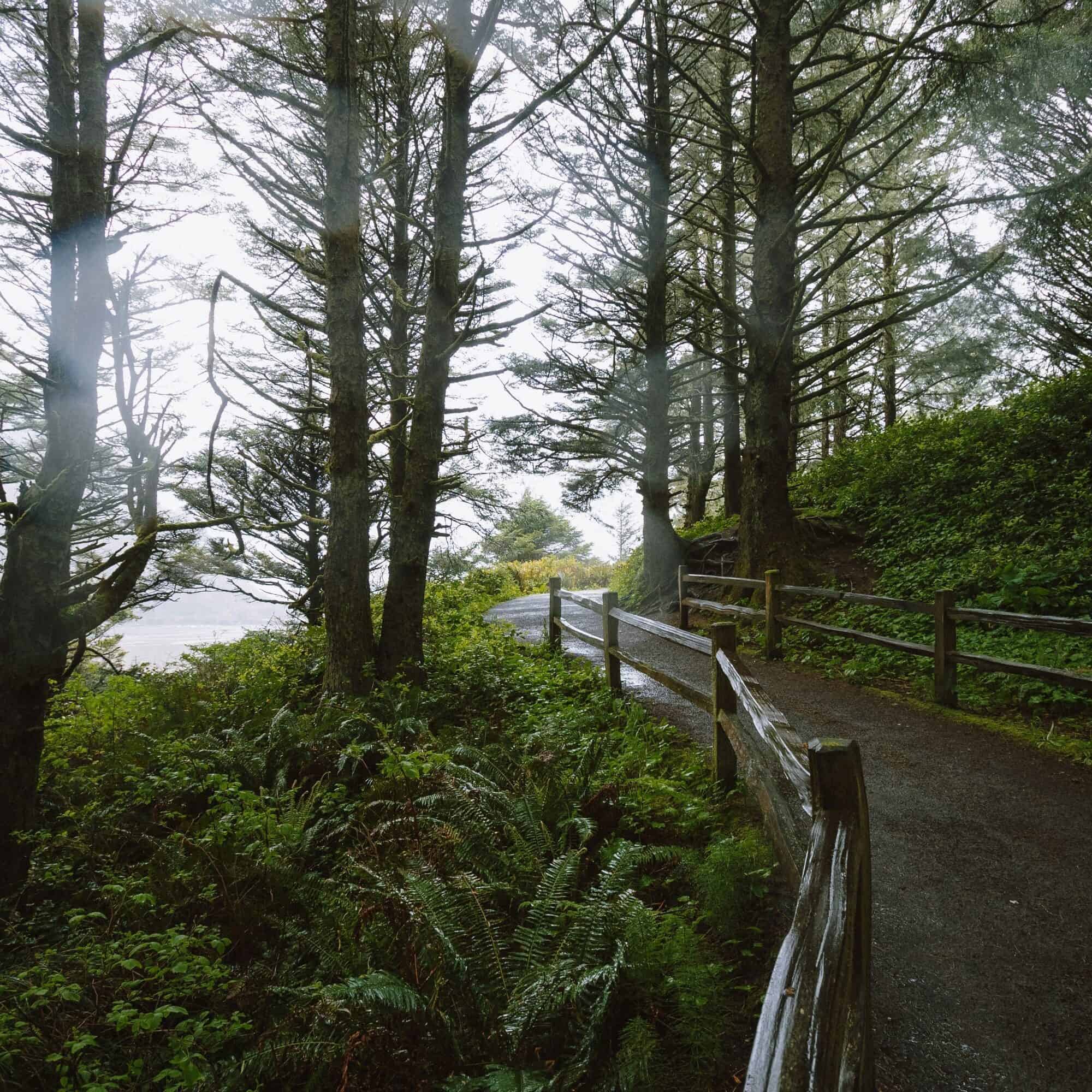 How to Celebrate Alien Abduction Day Like a True Washingtonian ...