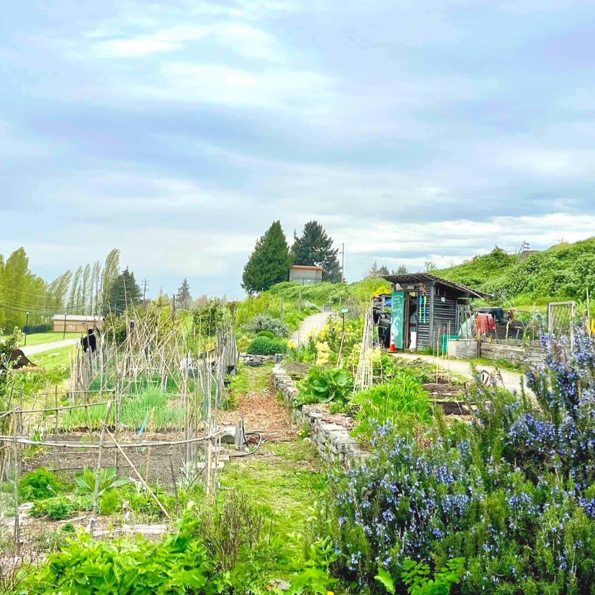 Counter Culture: Burien Fish House - Seattle magazine