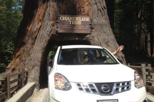 The Hart-Rios Family Road Trip: Seattle to San Francisco - Seattle magazine