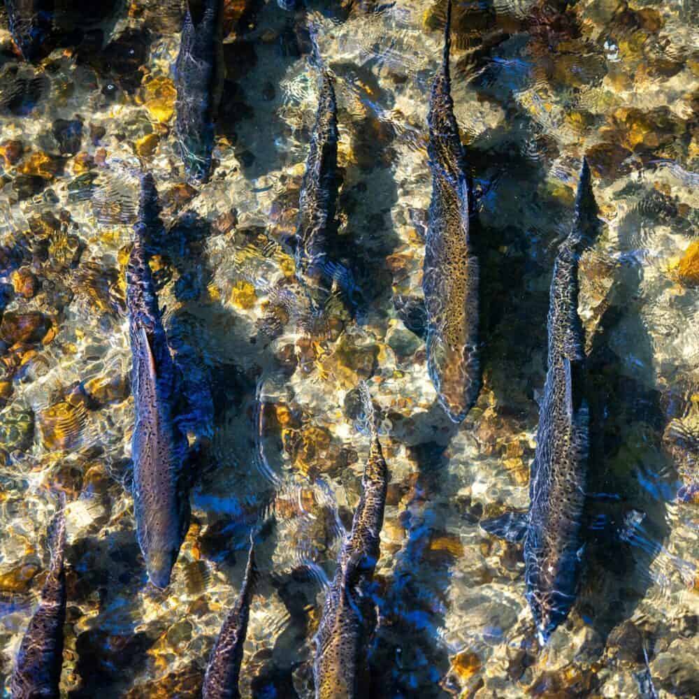 2025 Washington State Book Awards Winners Announced - Seattle magazine