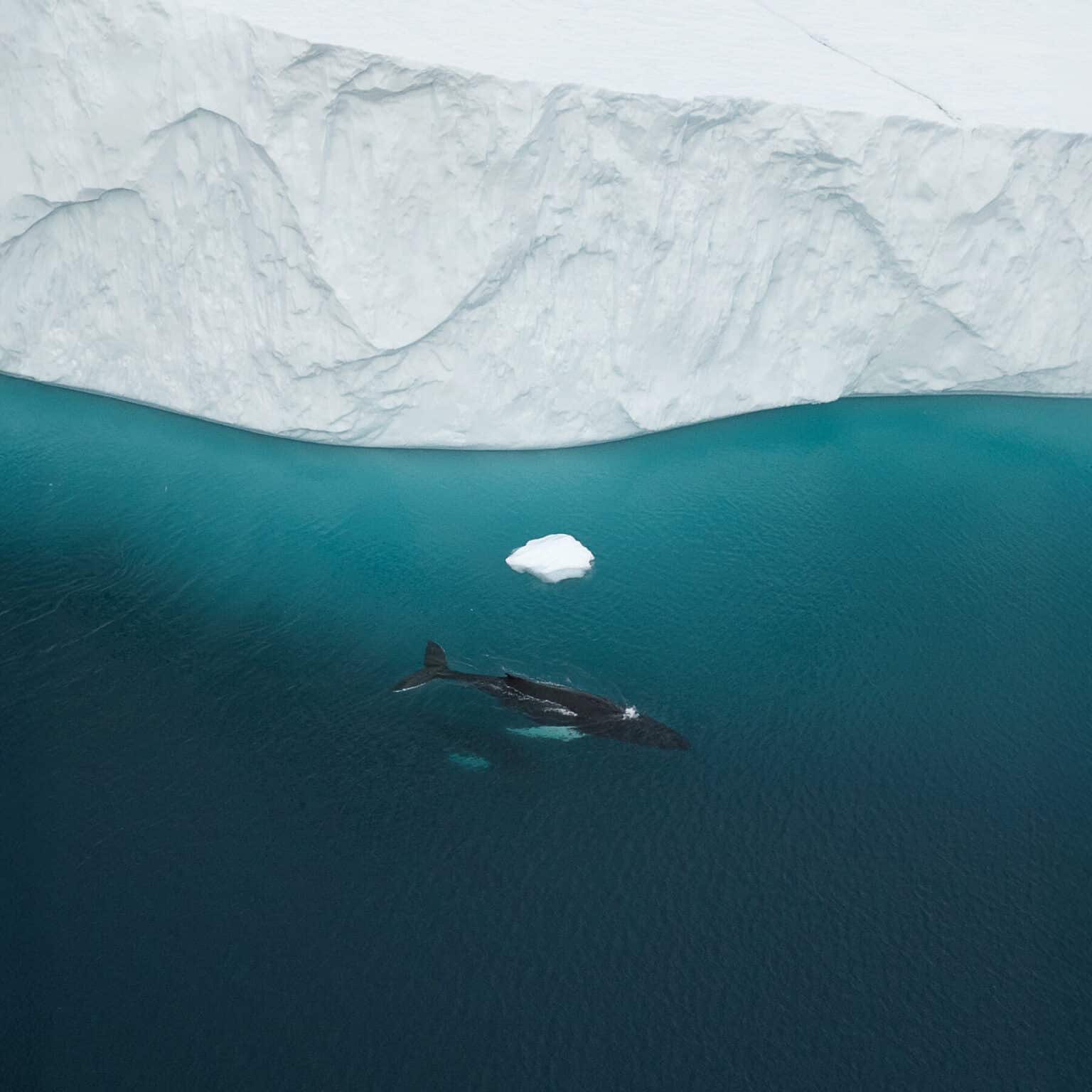 Renew Yourself in Bellingham, Washington - Seattle magazine