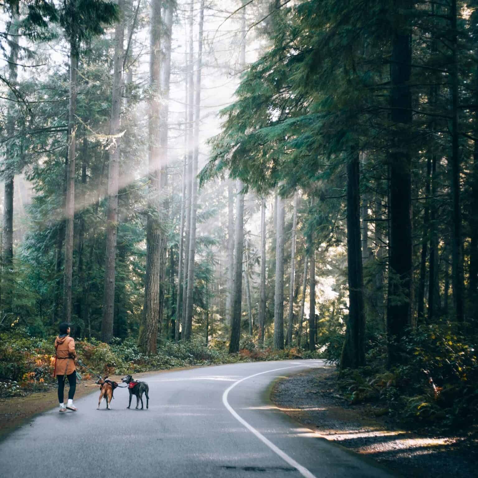 Best Spa: Yuan Spa - Seattle magazine