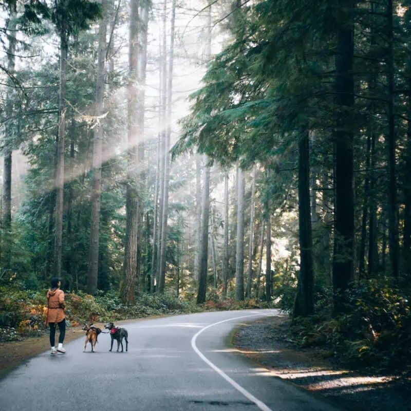 Ten Years Loud - Seattle magazine