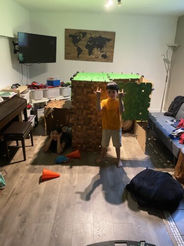 Cardboard Box Fort