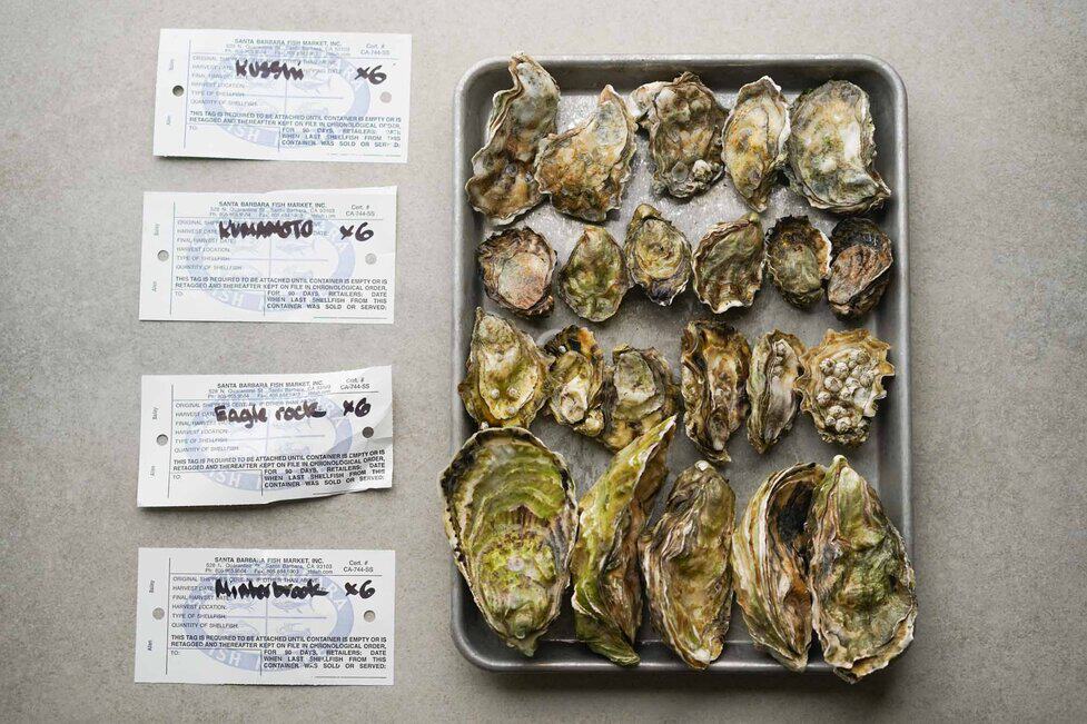 Can I Freeze Shucked Oysters: Ultimate Guide to Safe Storage – buzzlyo
