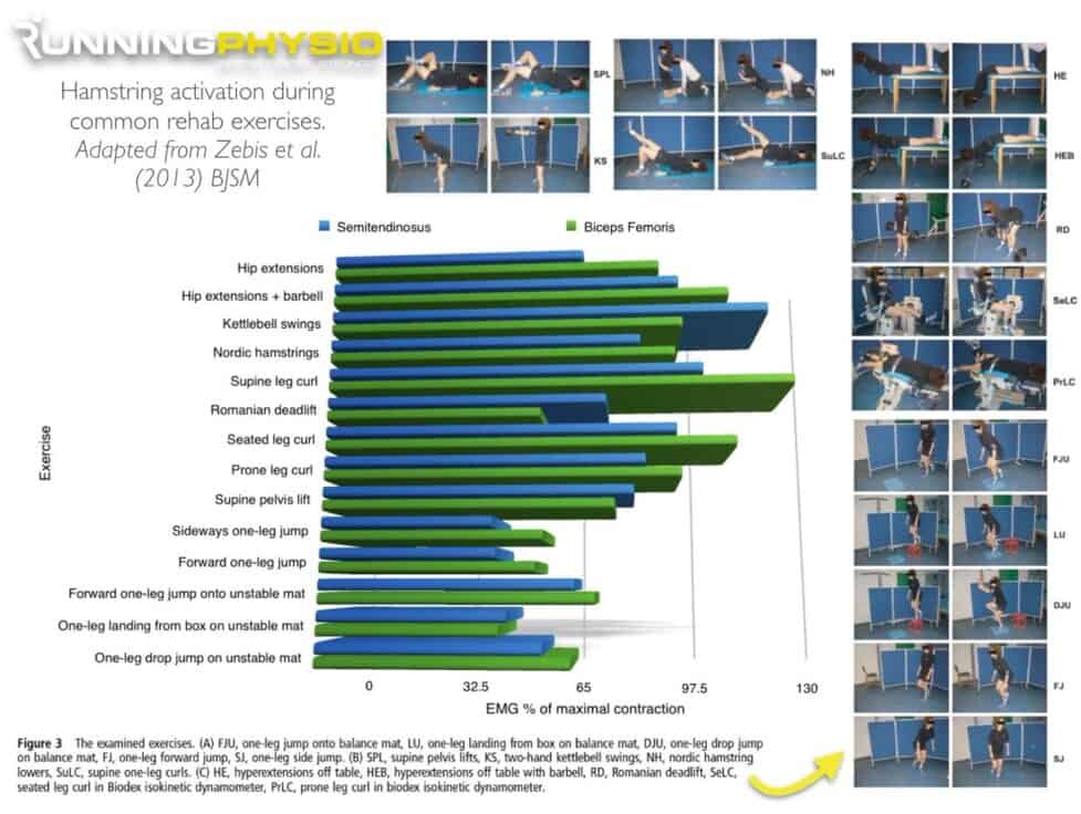 hamstring exercises rehab