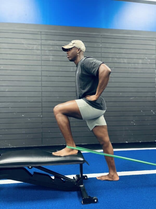 talocrural joint movement