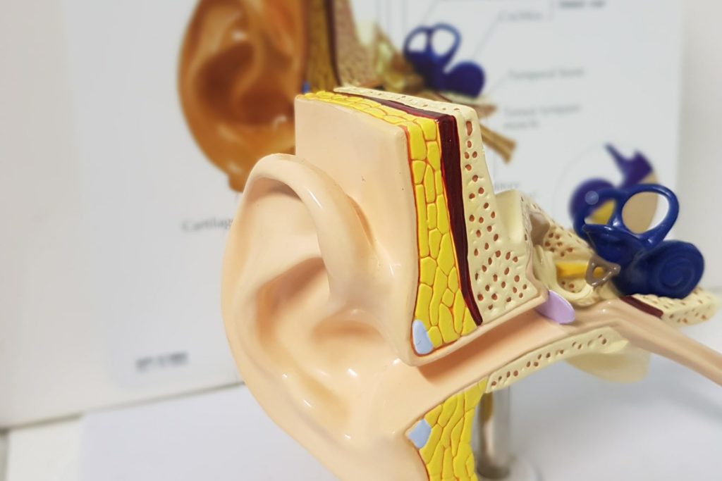 Online Modules in Ear Health - CPD Portal