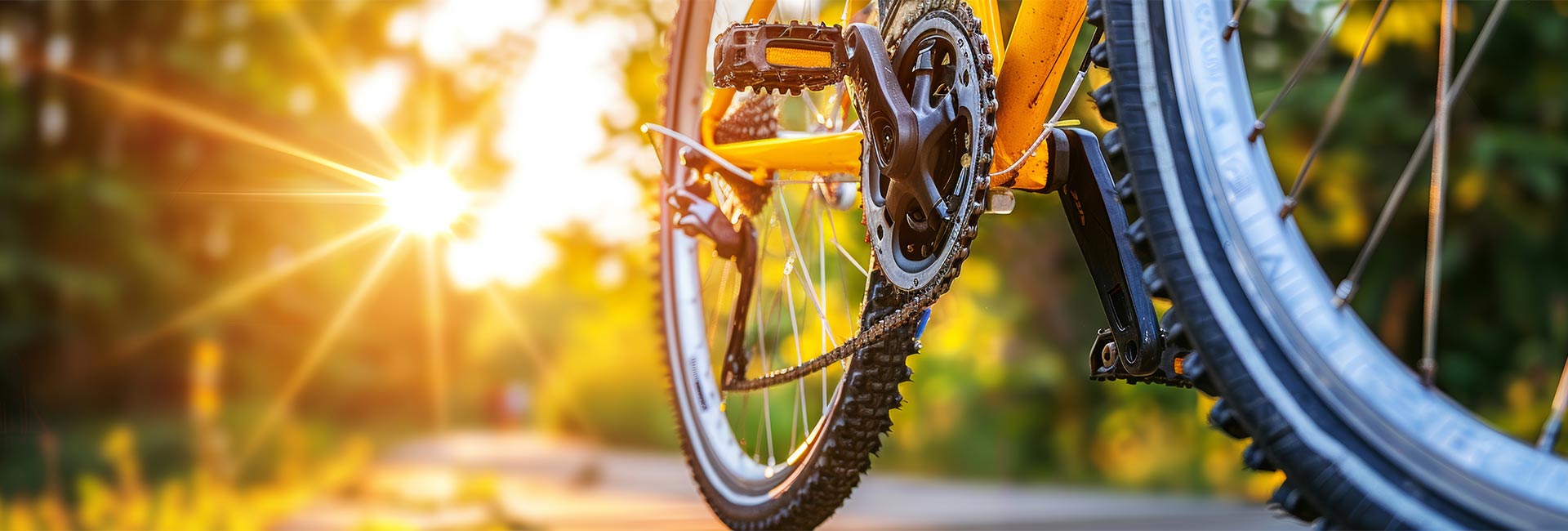 So, You Bought a Bike? Cycling Considerations for Beginners | Blog