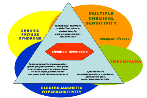 Multiple Chemical Sensitivity (MCS): How Serious Is MCS?